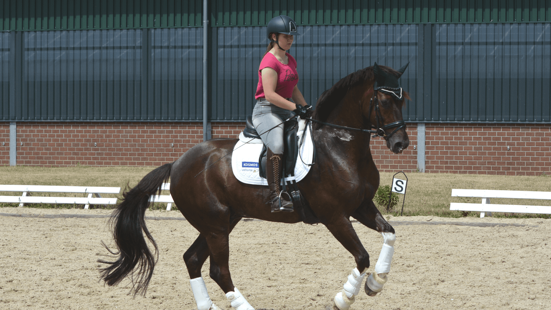 wehorse.com - The Online Riding Academy | wehorse.com