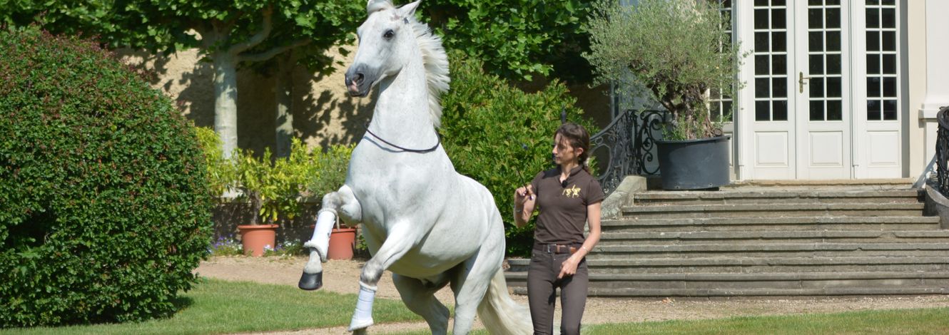 Alizée Froment | wehorse.com