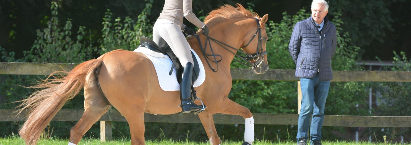 Christoph Hess | wehorse.com