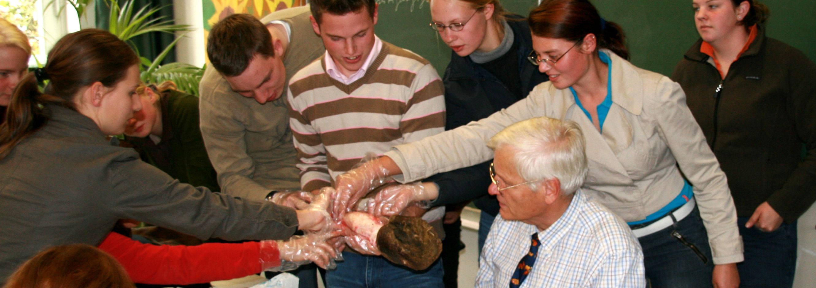 Dr. Helmut Ende | wehorse.com