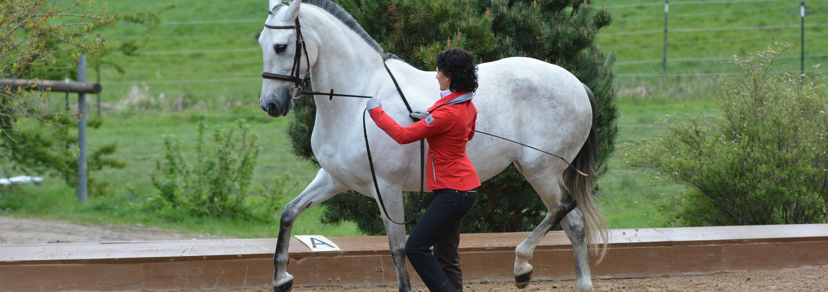 Kathrin Roida | wehorse.com