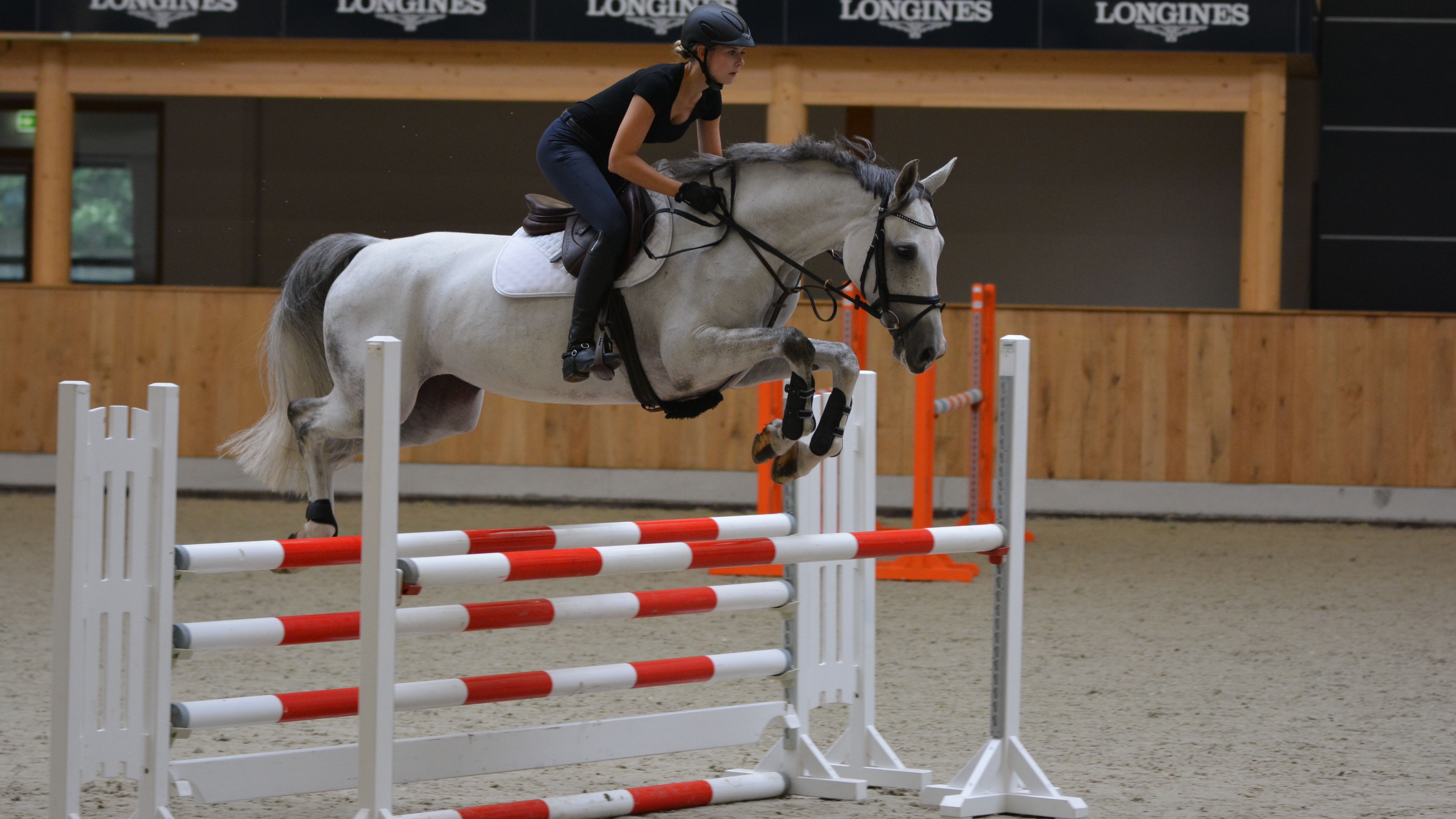 So lernst du Springreiten: Von der Ausrüstung bis zum Parcours ...
