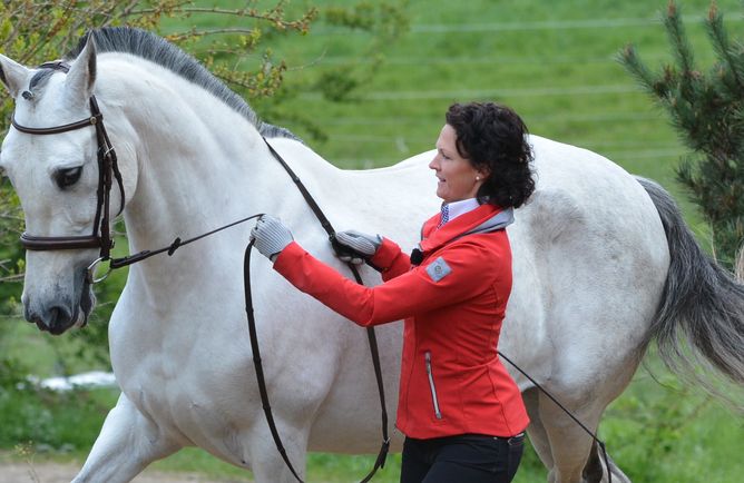 Kathrin Roida | wehorse.com