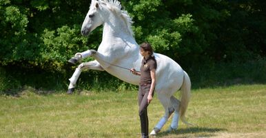 Alizée Froment | wehorse.com